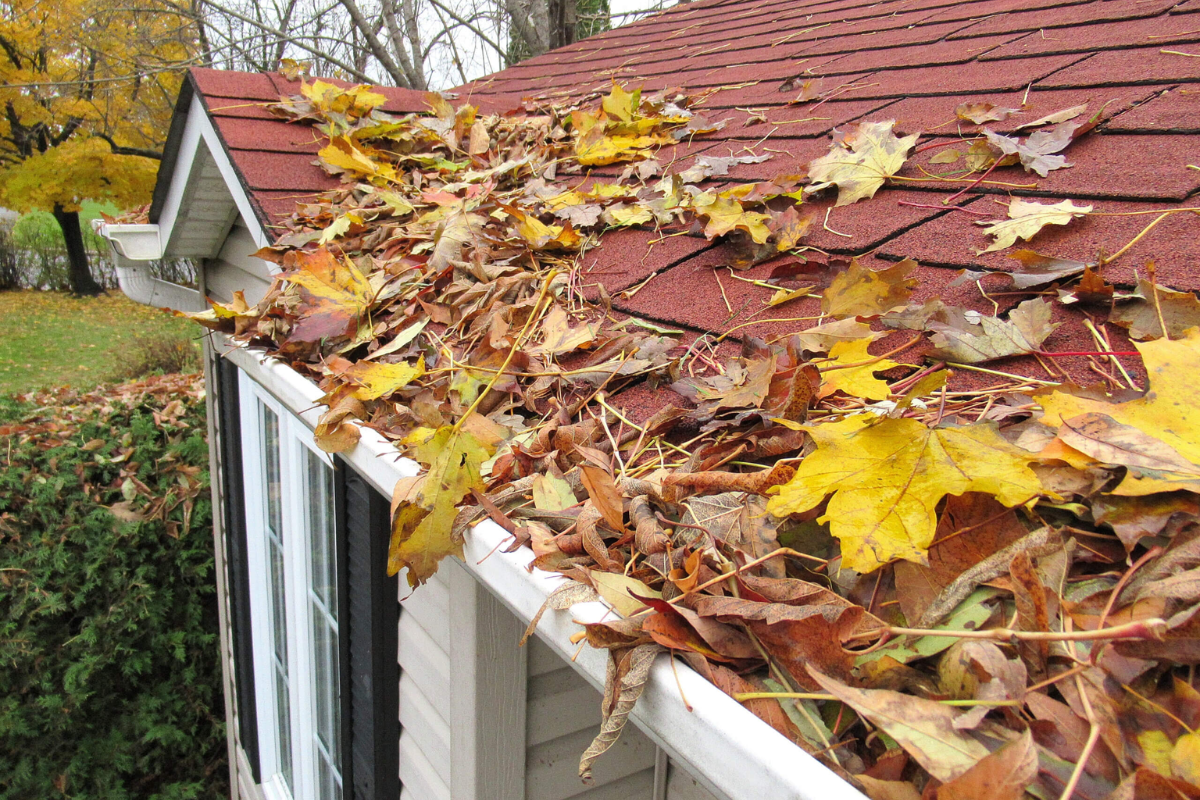 Preparing Your Roof for Fall in Houston: A Guide for New Homeowners ...